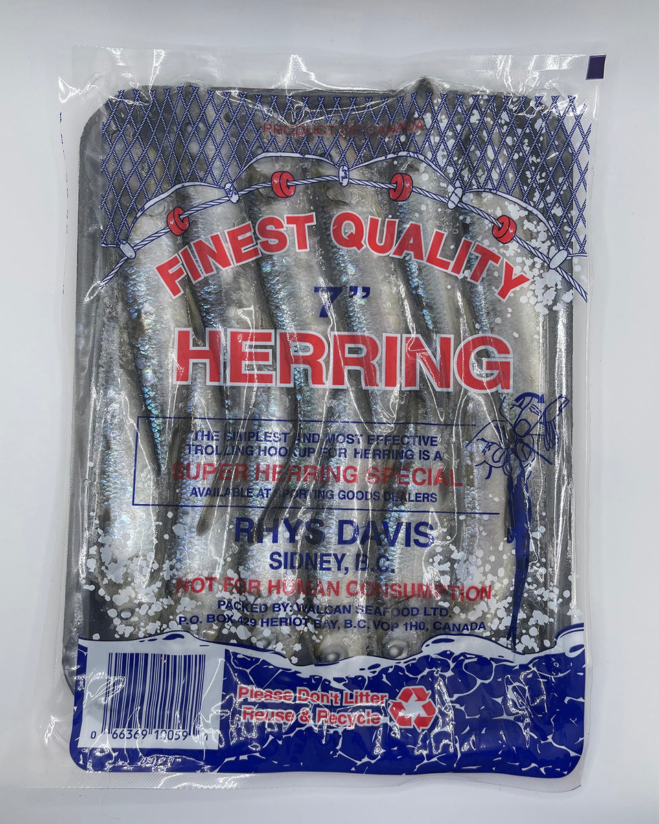 PACIFIC HERRING – NakedBull